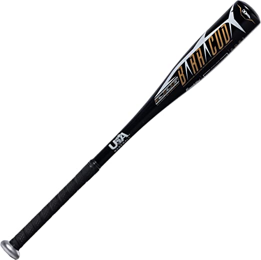 Top 10 Best Baseball Bat Ever Made - The Baseball Insider