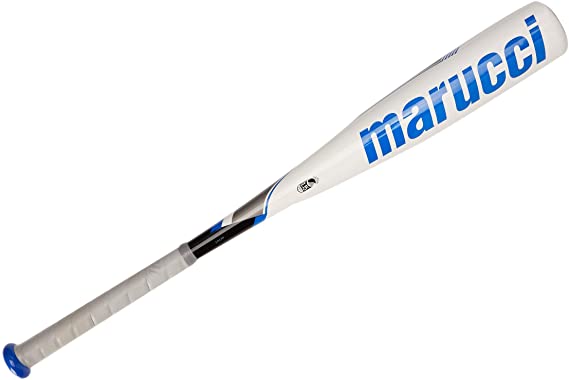 Best Baseball Bat Under $100 - Reviews - The Baseball Insider