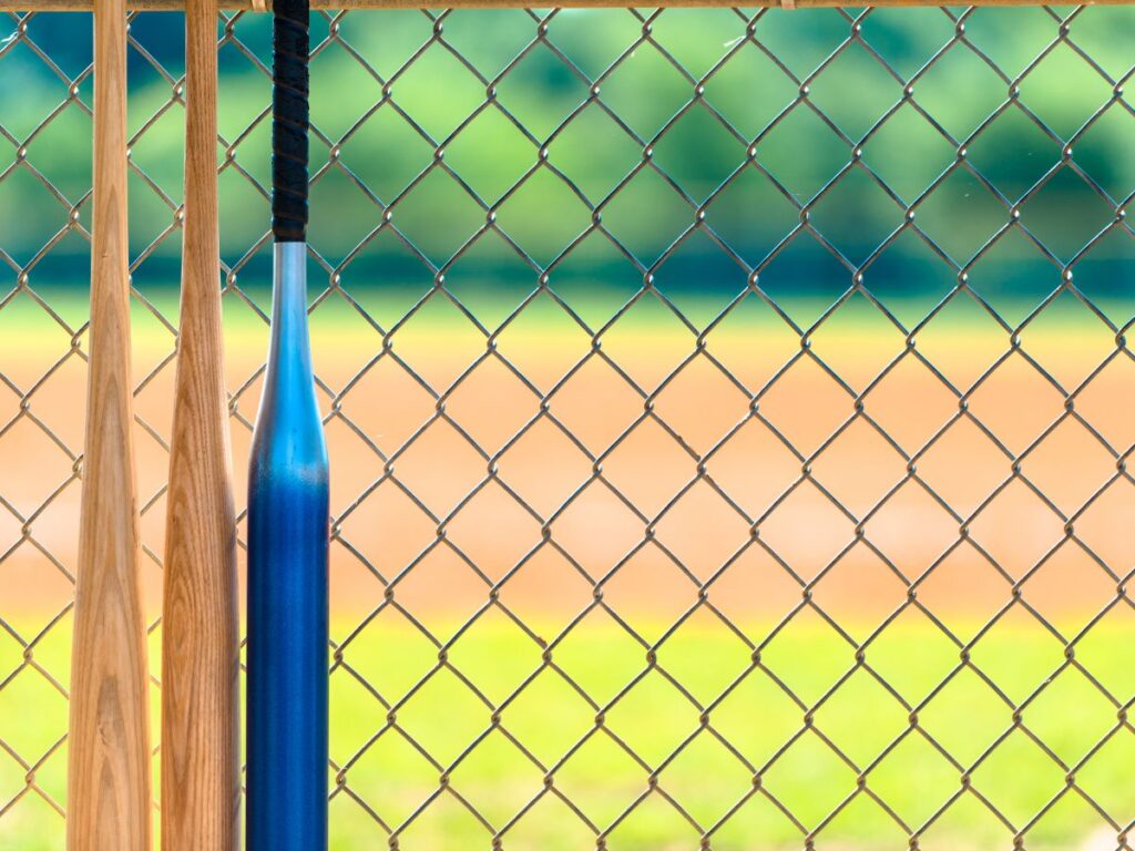 How Does Baseball Work: Unveiling the Secrets of America’s Favorite ...