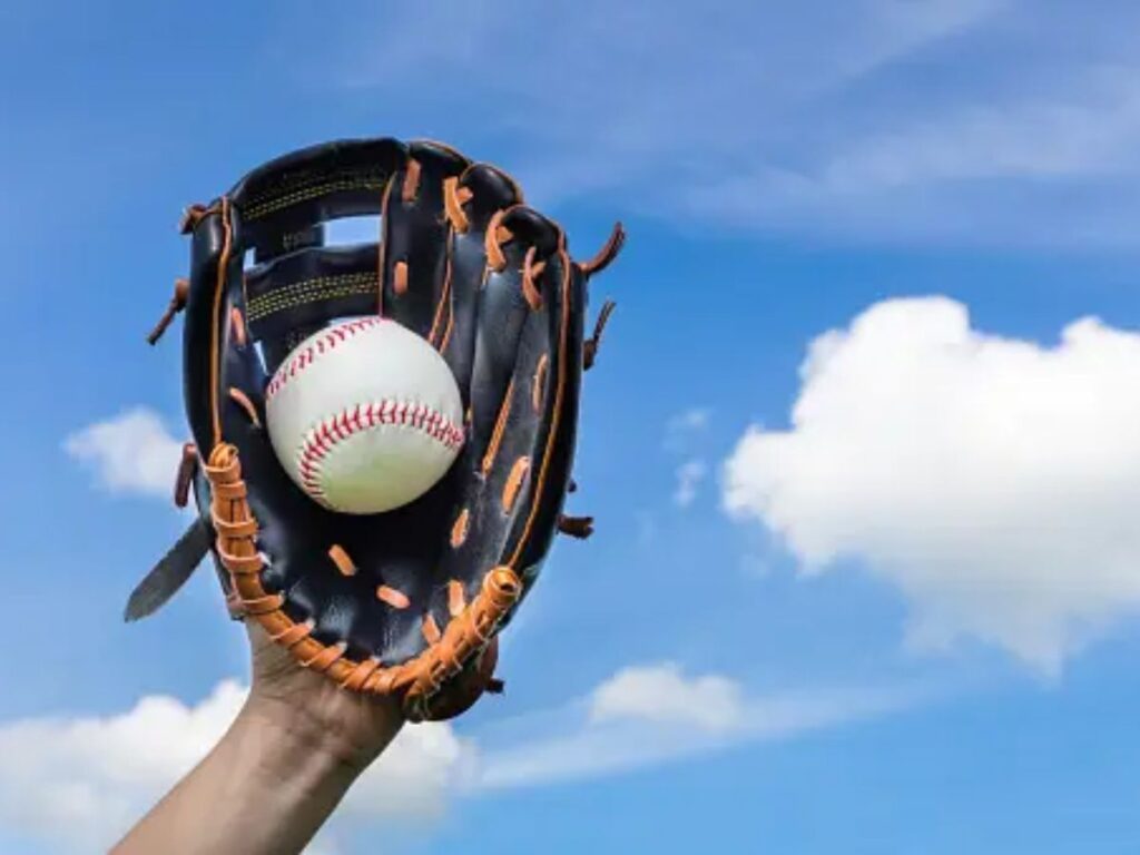 How to Play Catcher: Master the Art of Defending the Plate - The ...