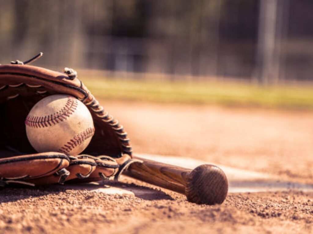 What Wood is a Baseball Bat Made of? A Guide to the Best Materials ...