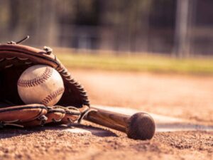 What Wood is a Baseball Bat Made of? A Guide to the Best Materials ...