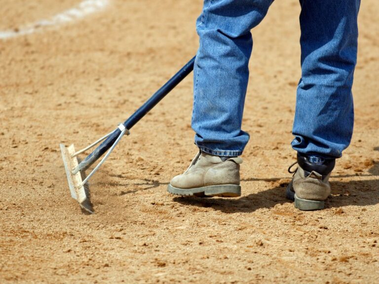What is Raking in Baseball? Powerful Techniques for Boosting Raking in ...