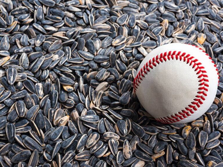 Why Do Baseball Players Chew Sunflower Seeds: The Secret Behind their ...